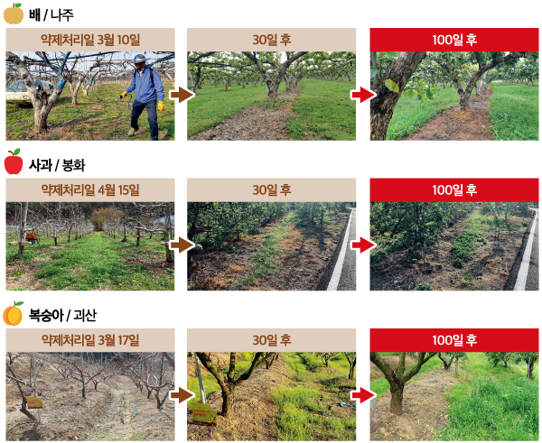 Bayer CropScience Korea