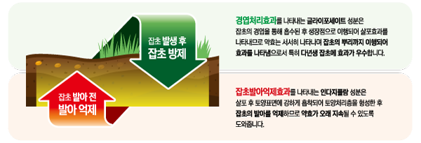 Bayer CropScience Korea