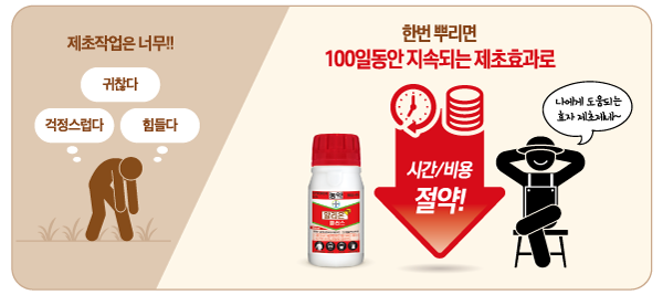 Bayer CropScience Korea