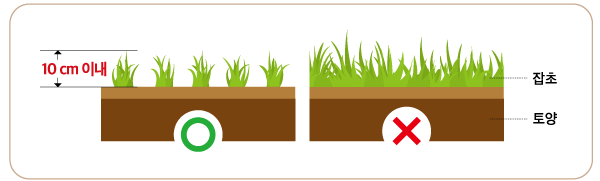 농약 알리온플러스 제초제 구매 사용후기 : 네이버 블로그