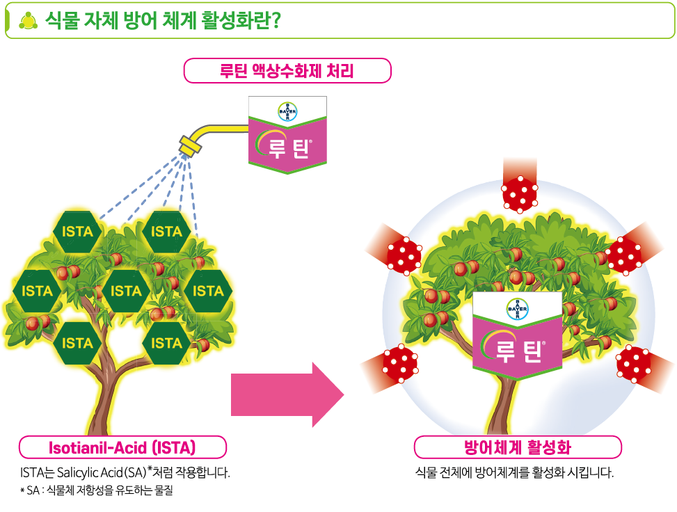 Bayer CropScience Korea